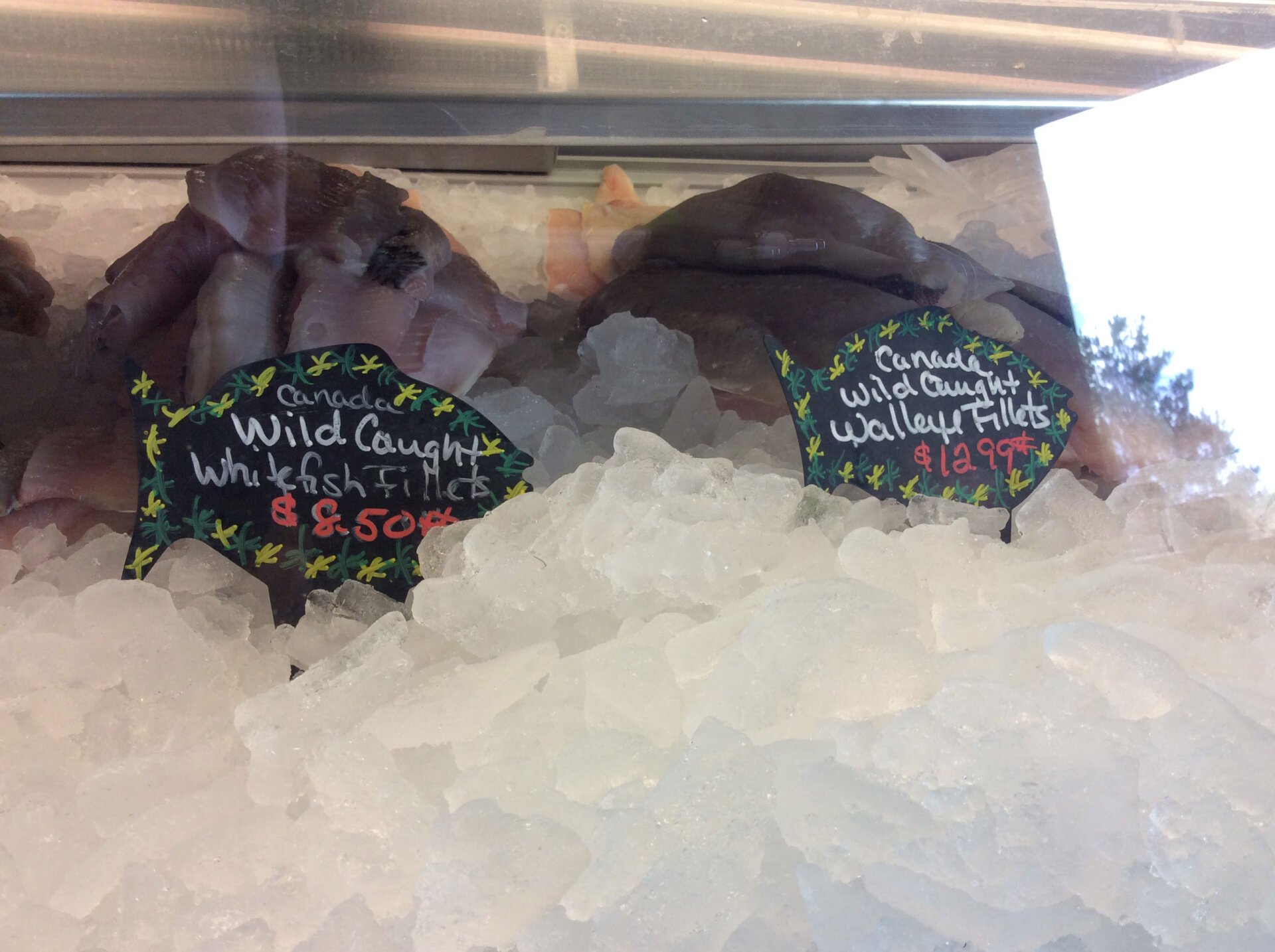 Gallery | Schwarz Fish Company