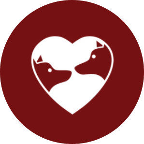 Key Animal Clinic | Pet Care | Lubbock, TX