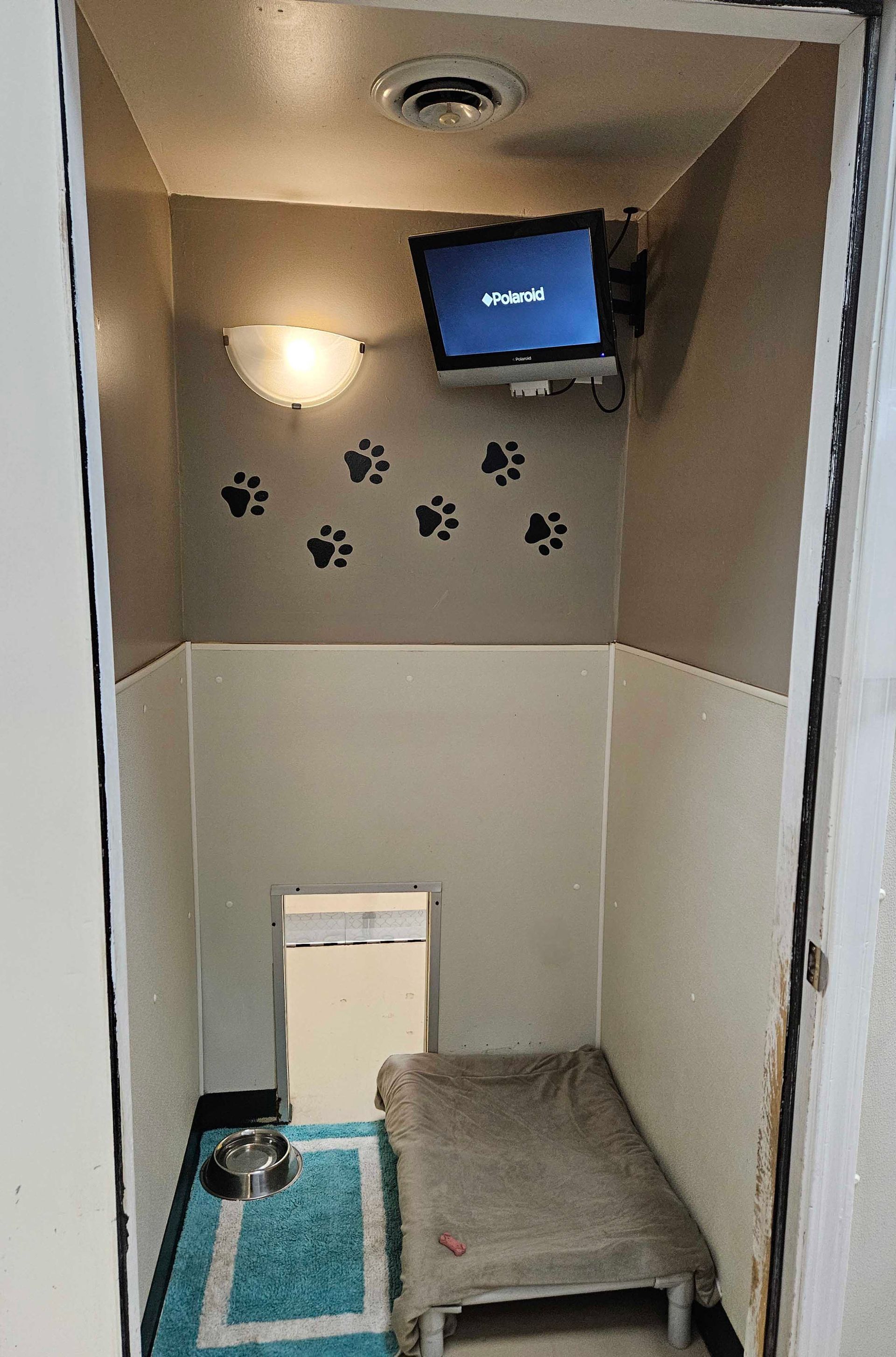 Wag 'N Tails Pet Resort Gallery | Lansing MI