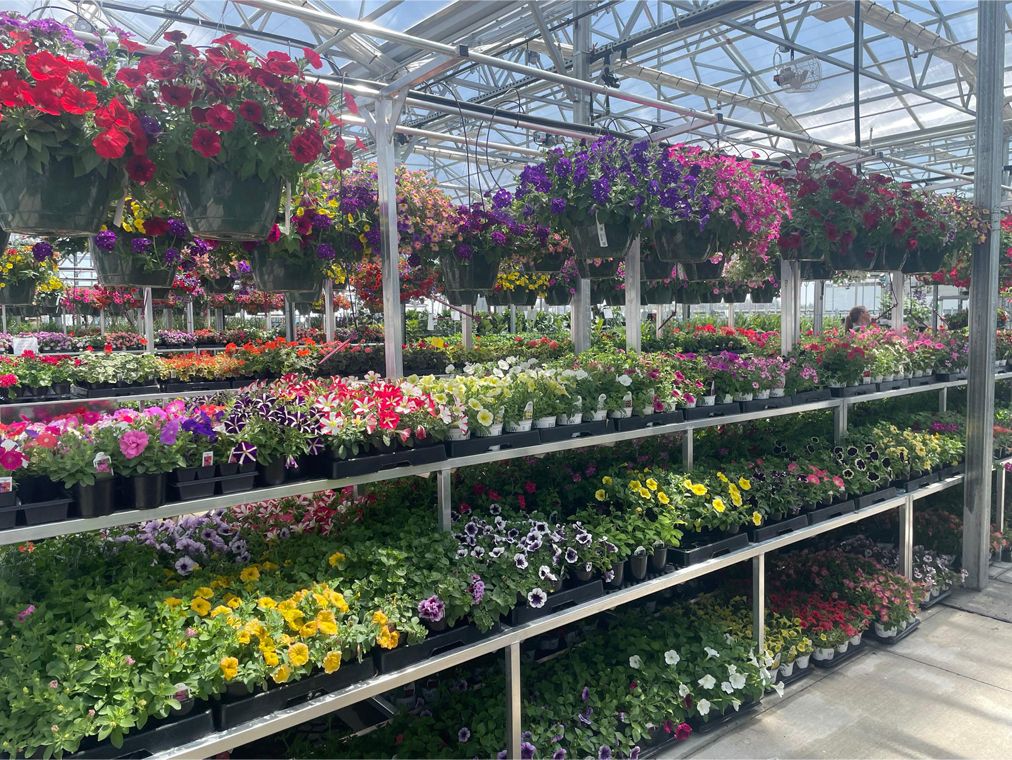 Garden Center Grimes, IA | Bentley Ridge Tree Farm