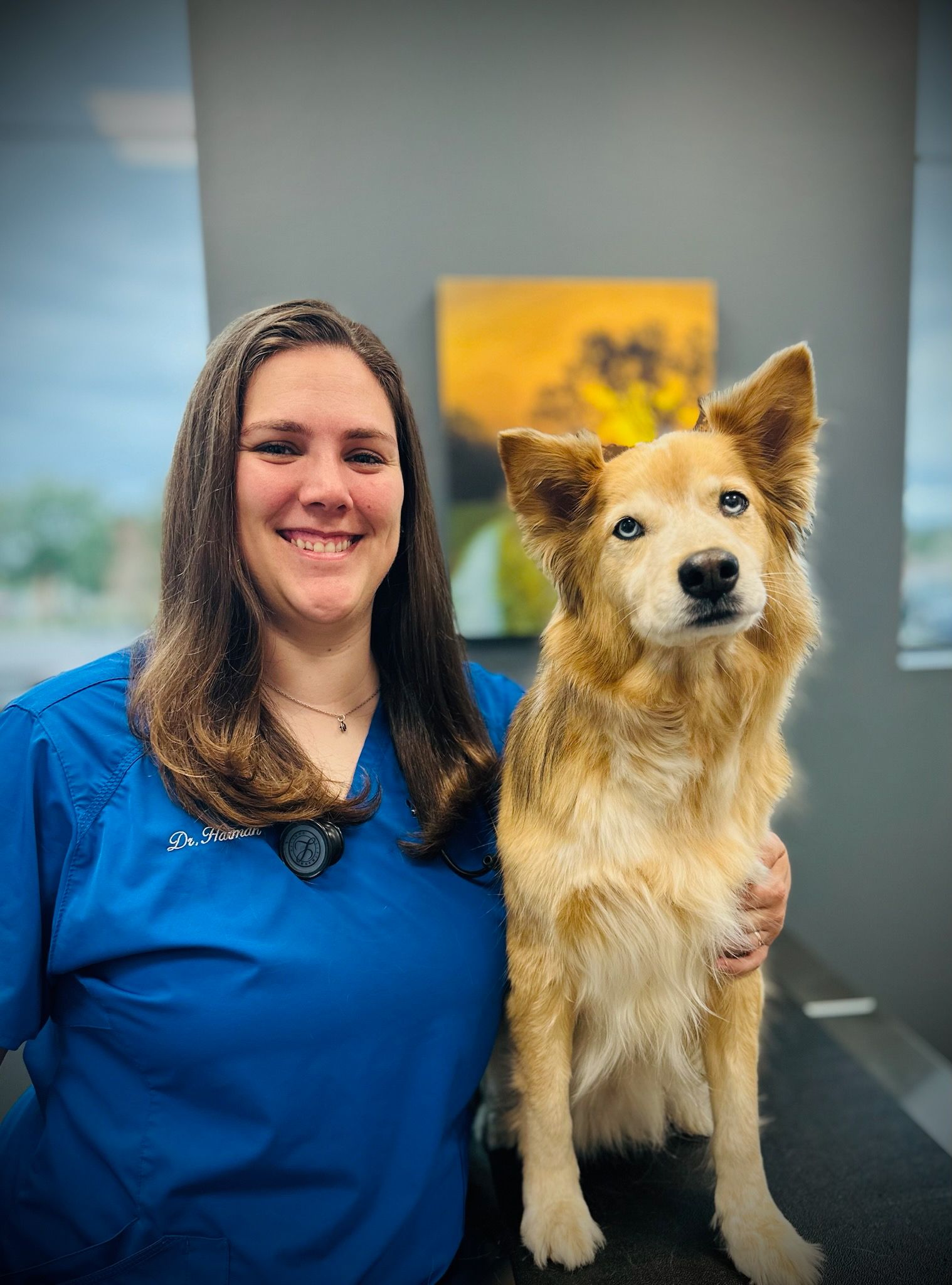 Our Team | Liberty Hill Animal Hospital