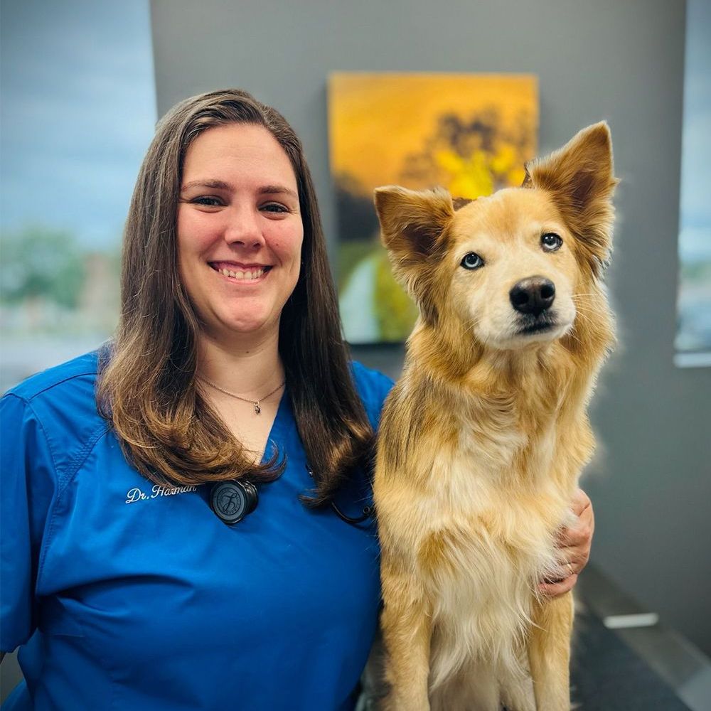 Animal Hospital Liberty Hill | Liberty Hill Animal Hospital