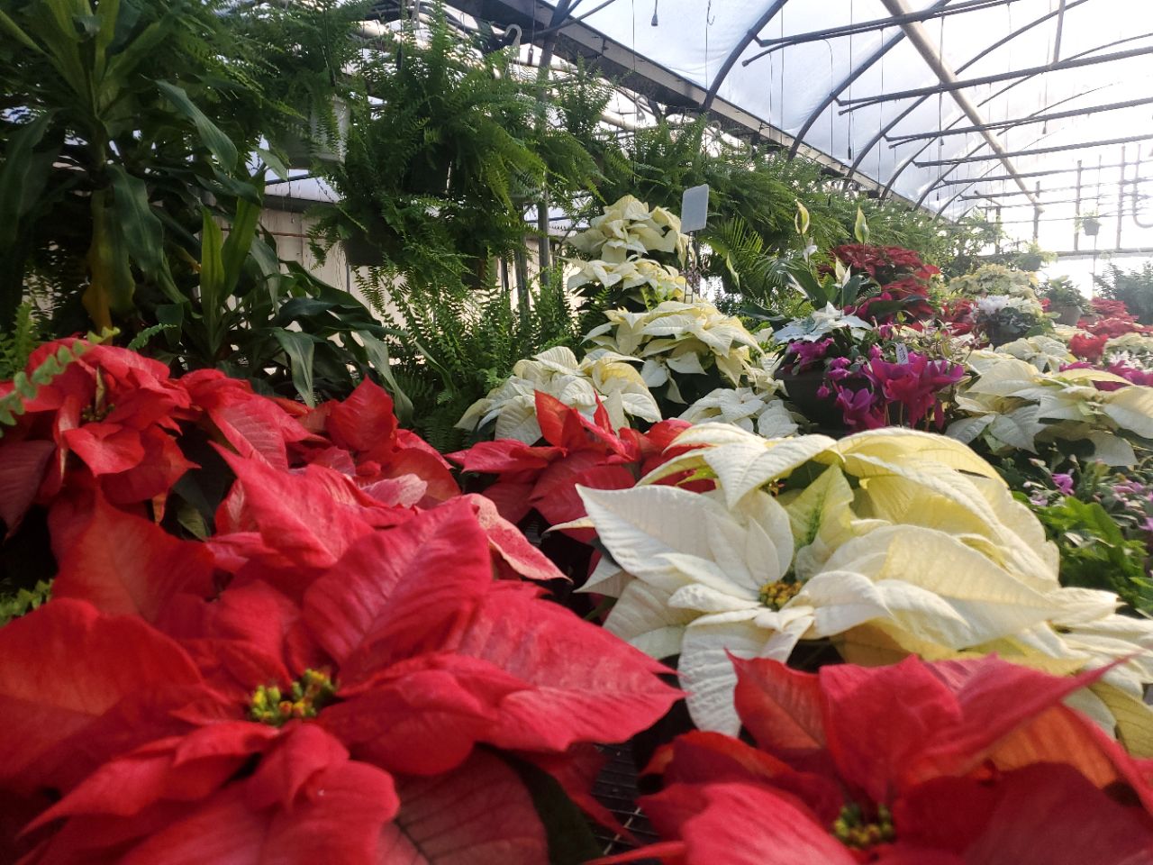 Seasonal Items | Martinsburg, PA