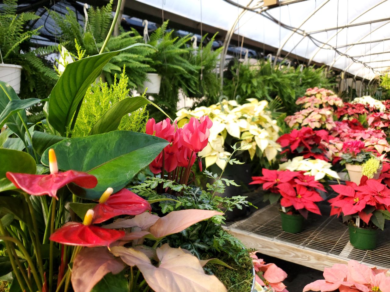 Seasonal Items | Martinsburg, PA