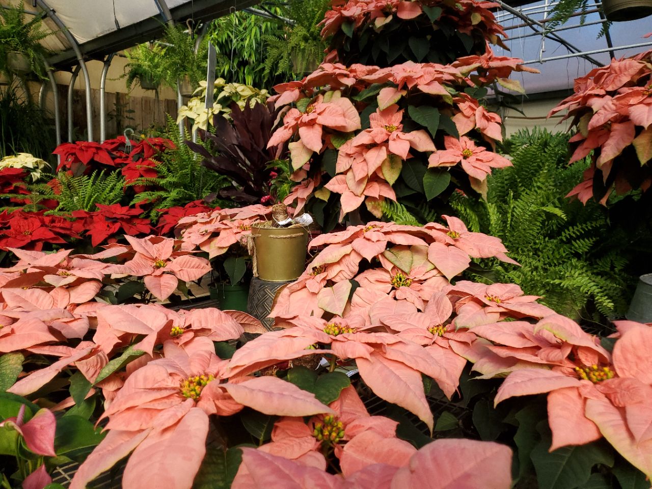 Seasonal Items | Martinsburg, PA
