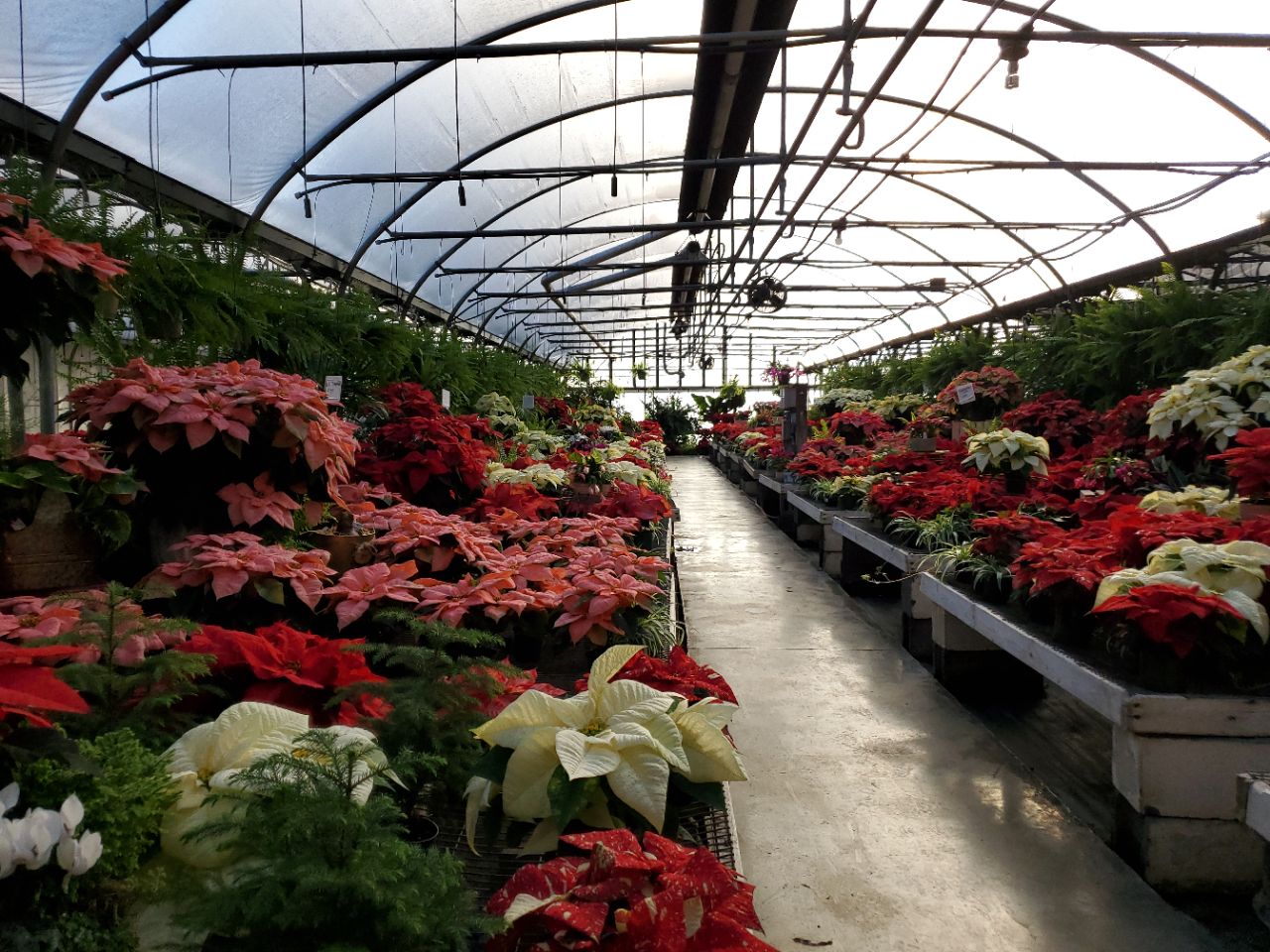Seasonal Items | Martinsburg, PA