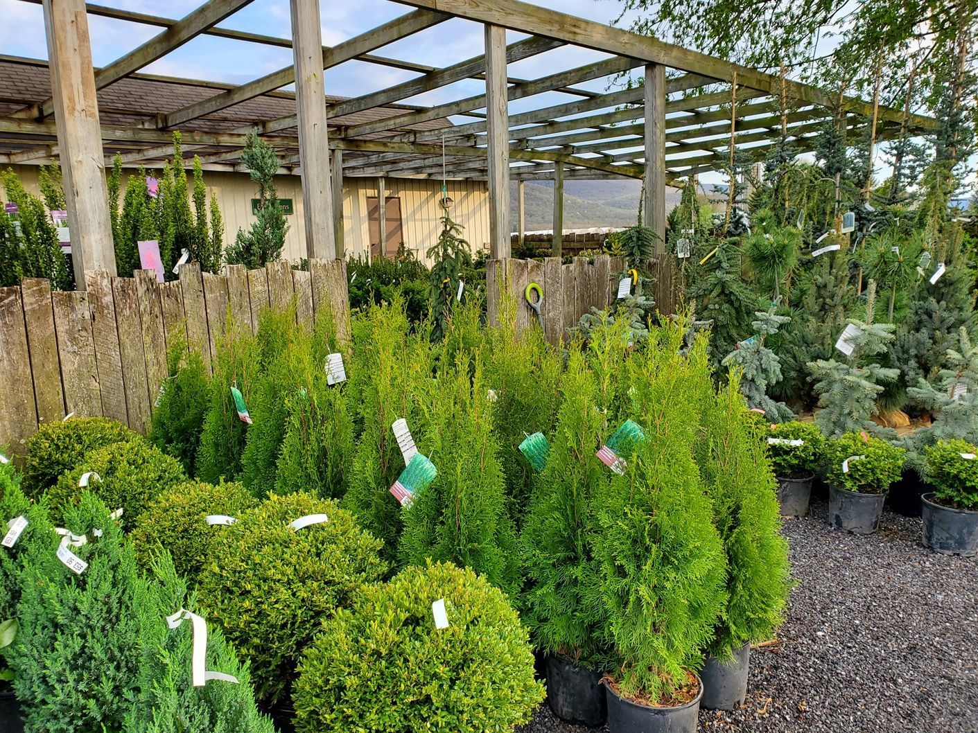 Plant and Tree Nursery | Martinsburg, PA