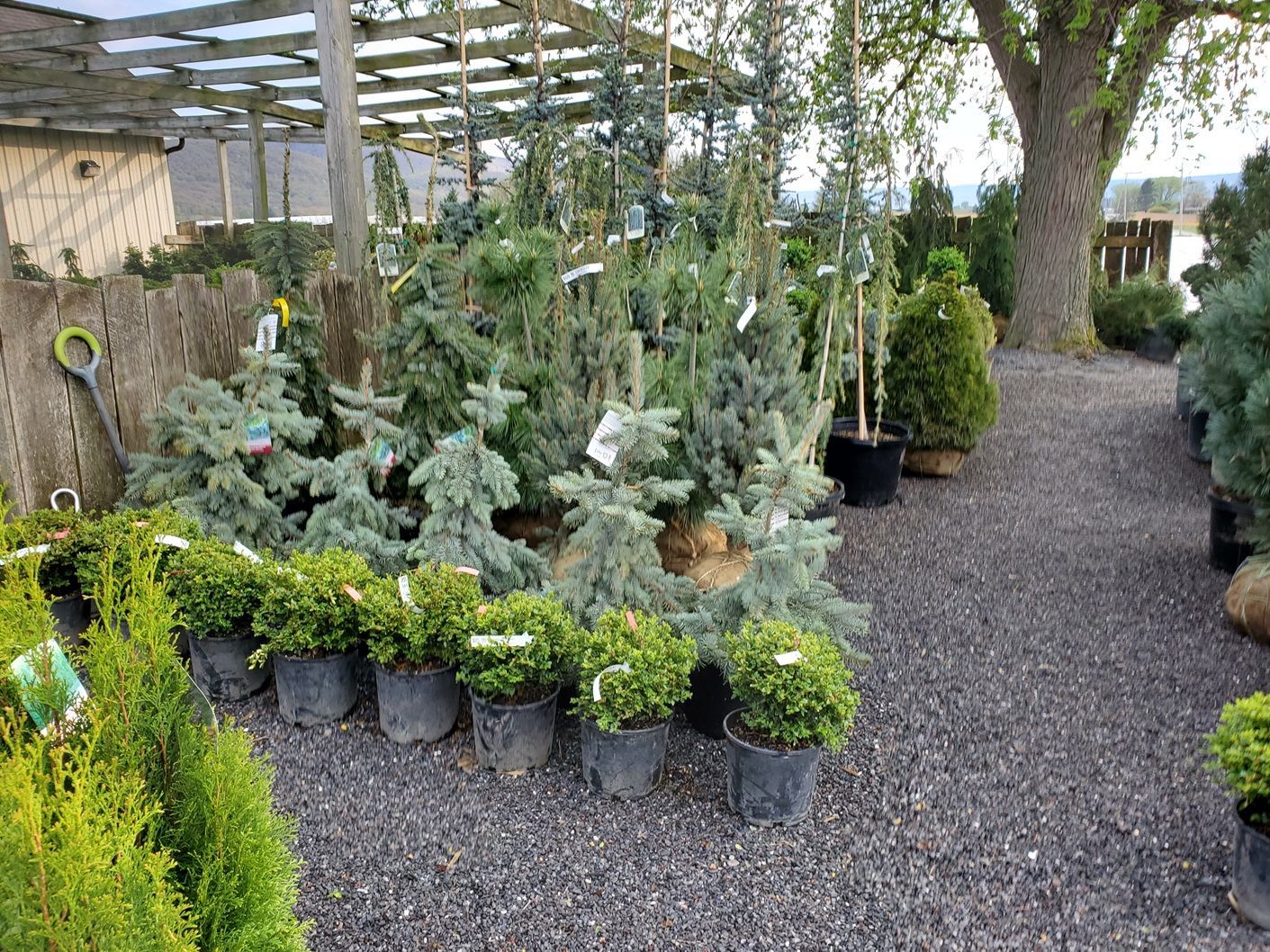 Plant and Tree Nursery | Martinsburg, PA