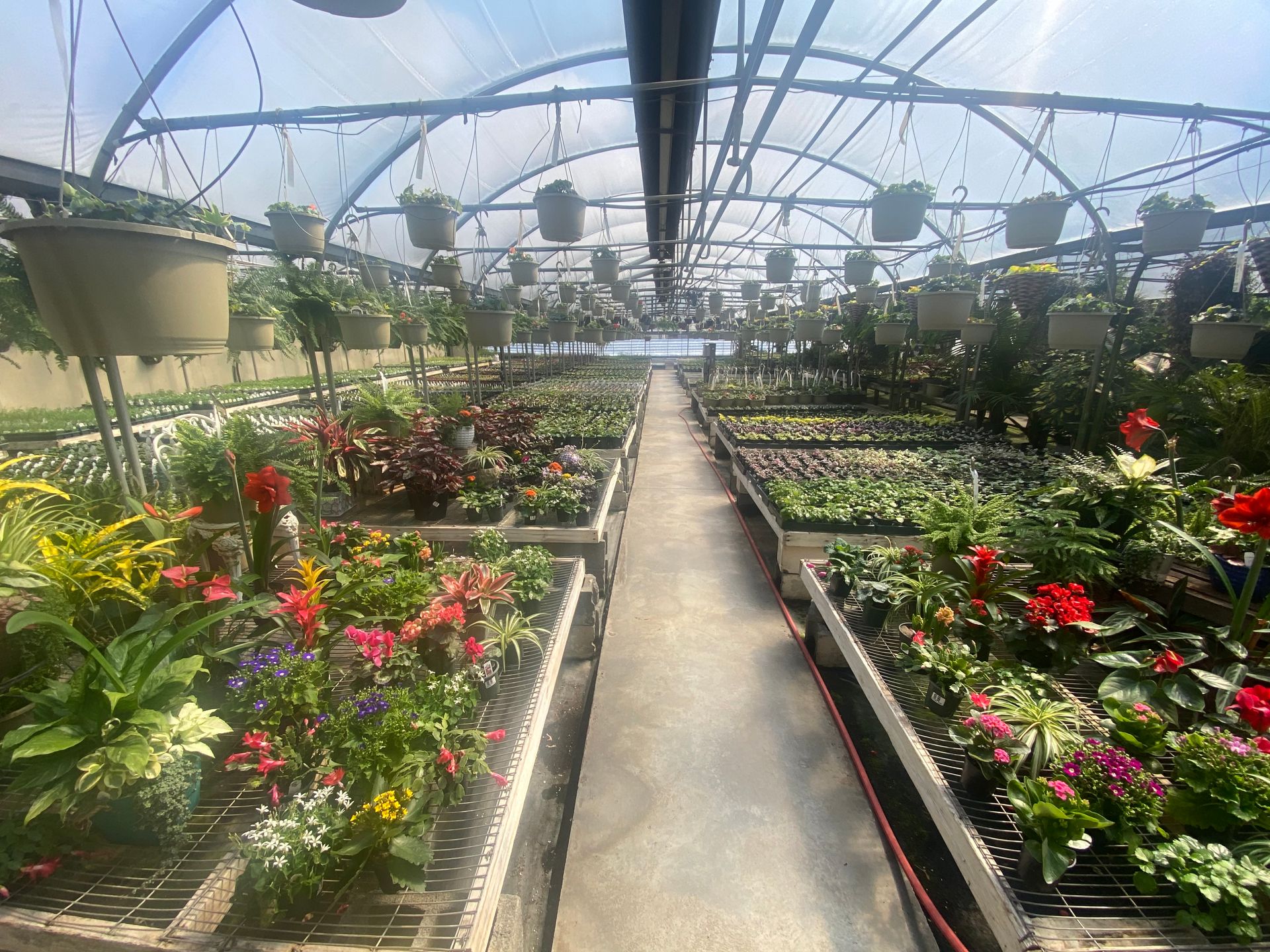 Local Garden Center | Martinsburg, PA