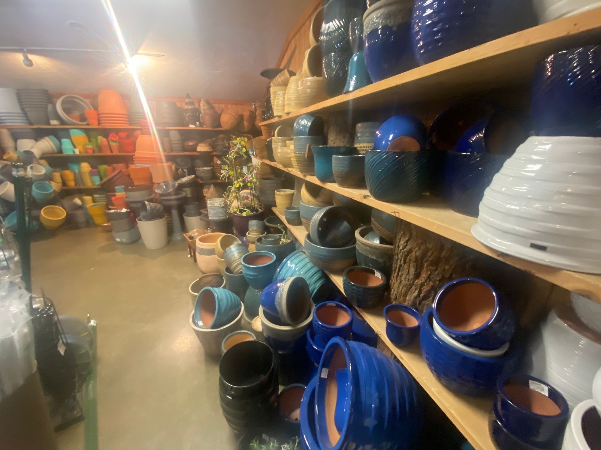 Plant Inventory Gallery | Martinsburg, PA