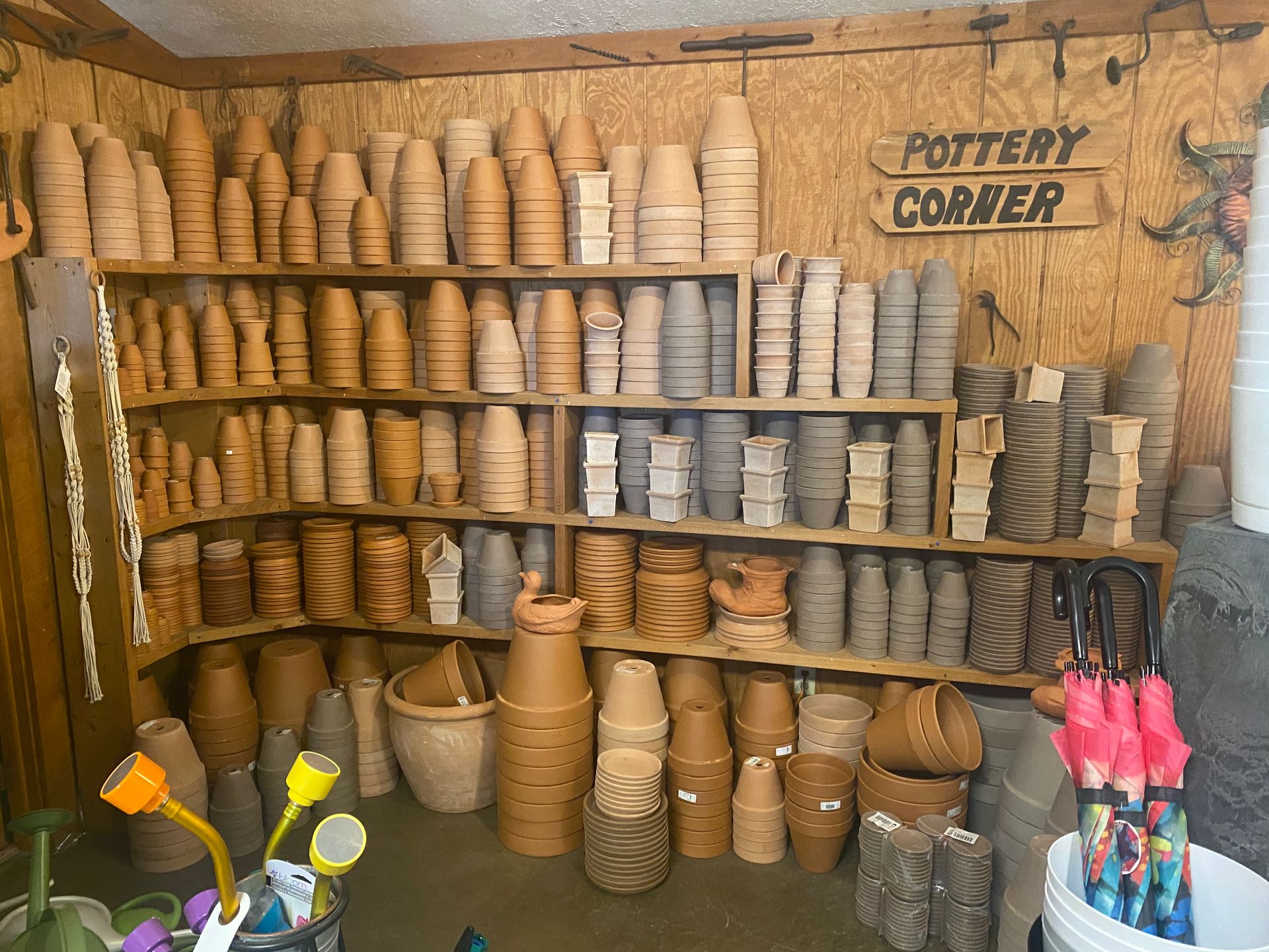 Plant Inventory Gallery | Martinsburg, PA