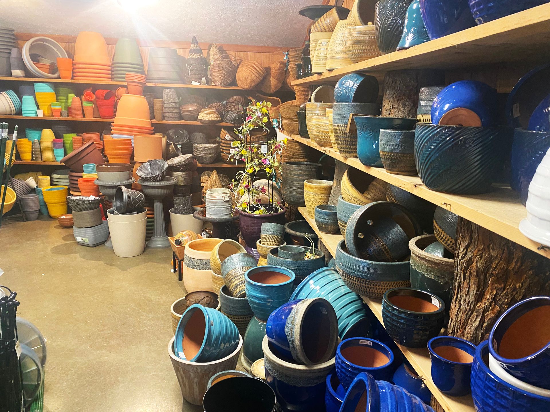 Plant Inventory Gallery | Martinsburg, PA