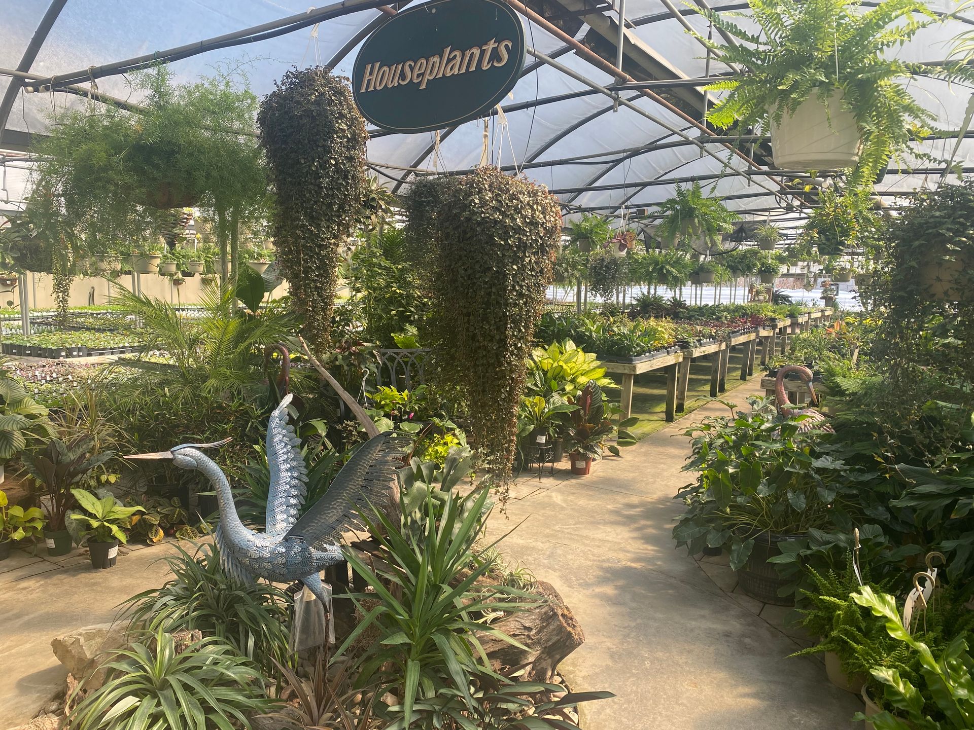 Plant Inventory Gallery | Martinsburg, PA