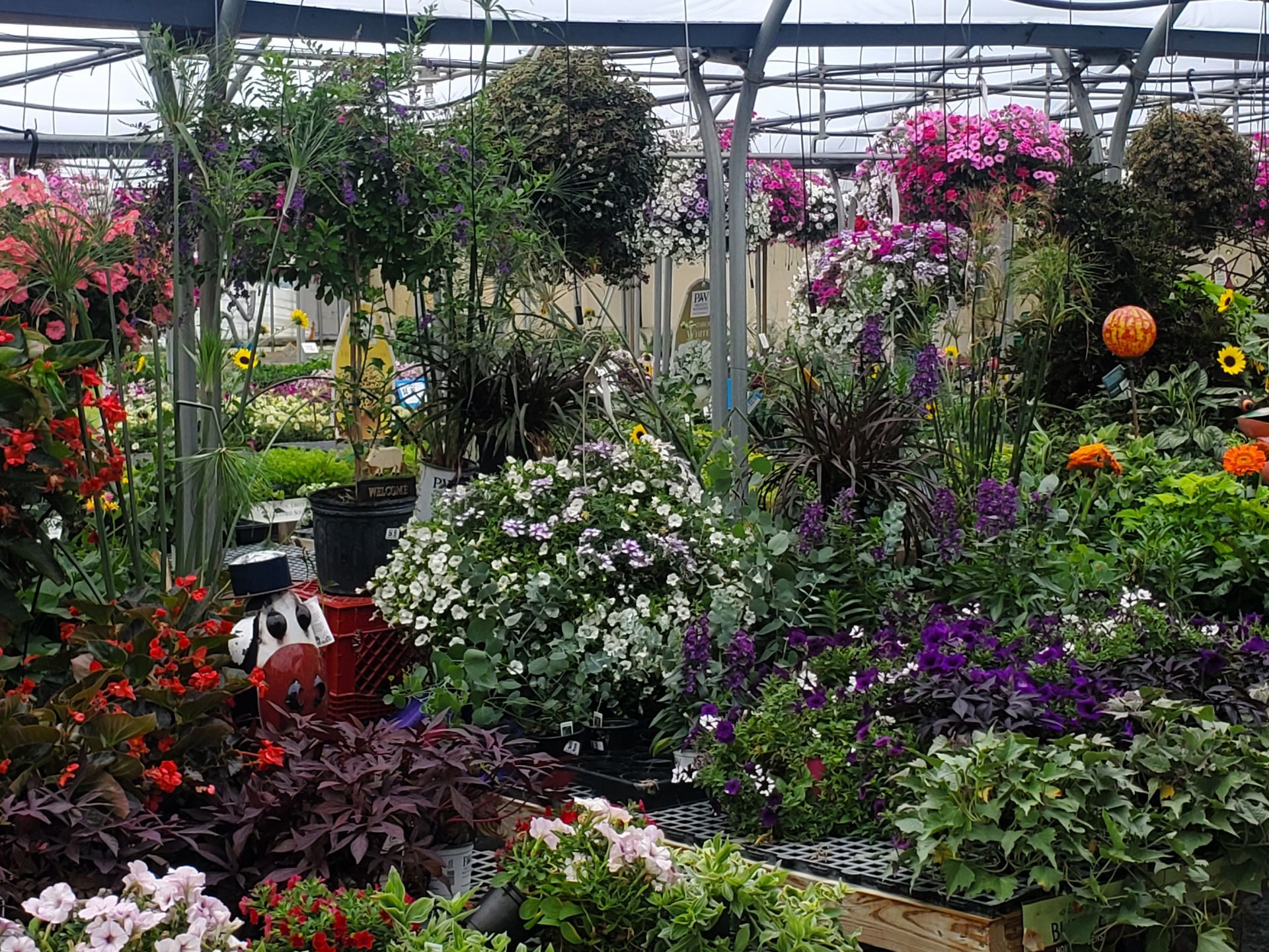Local Garden Center | Martinsburg, PA