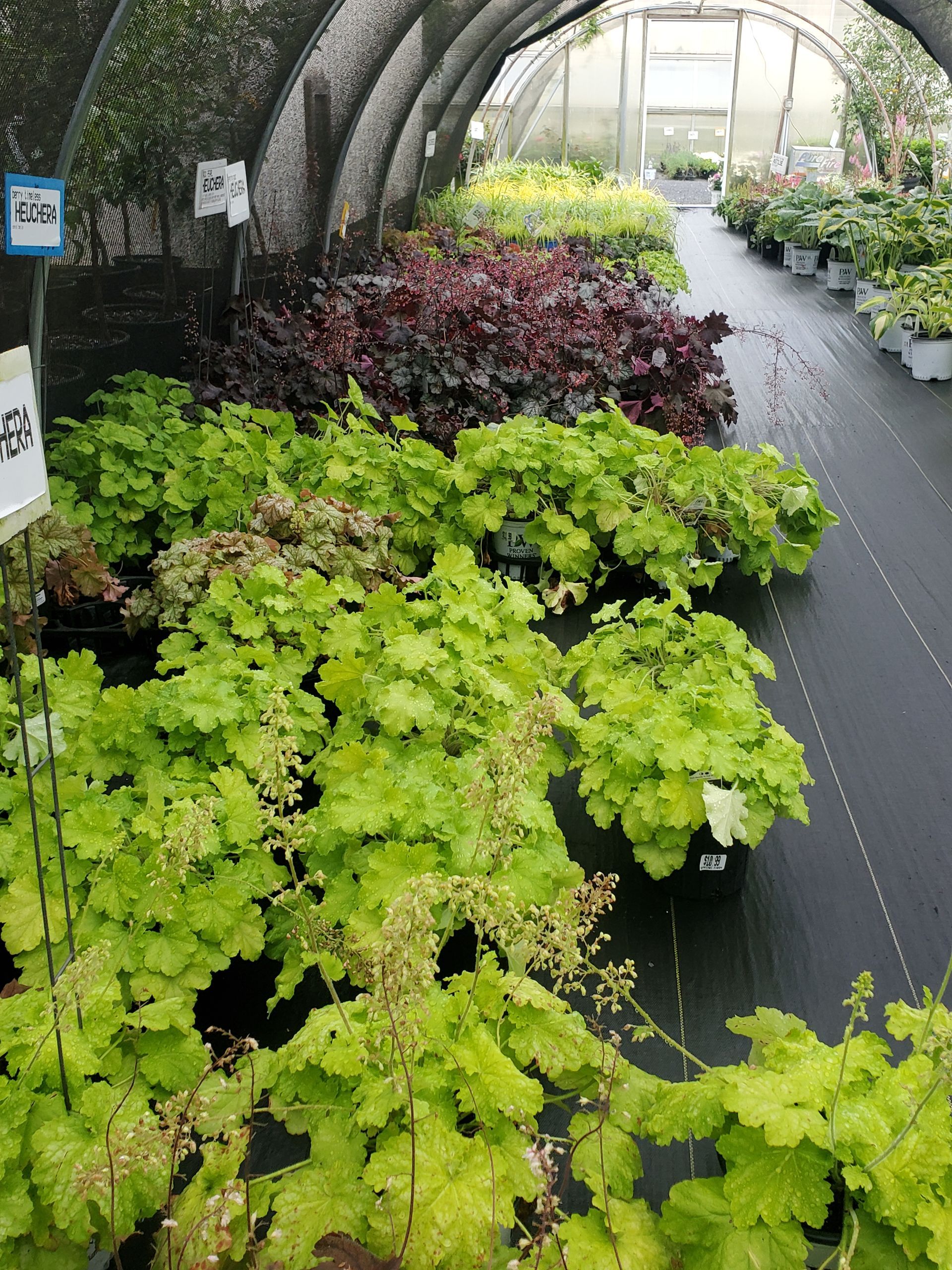 Local Garden Center | Martinsburg, PA