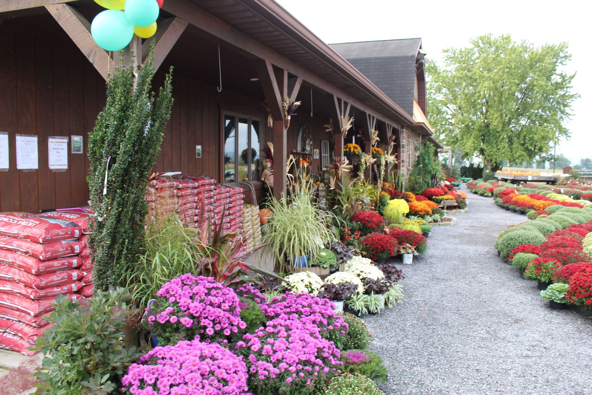 Local Garden Center | Martinsburg, PA