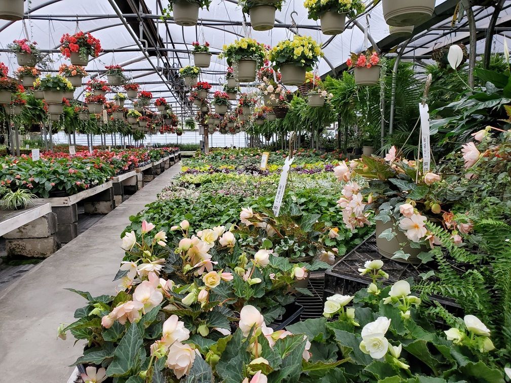 Local Garden Center | Martinsburg, PA