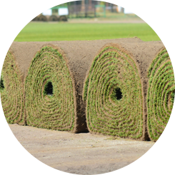 Sod | Turf Land Grass Sales & Installation | Honey Grove, TX