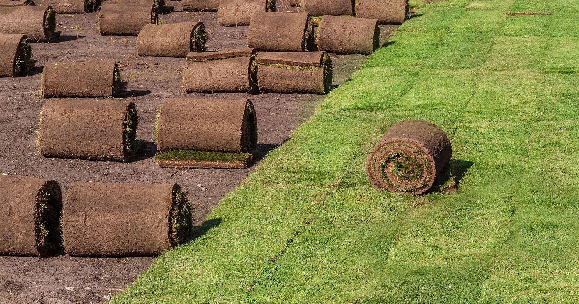 Sod | Turf Land Grass Sales & Installation | Honey Grove, TX