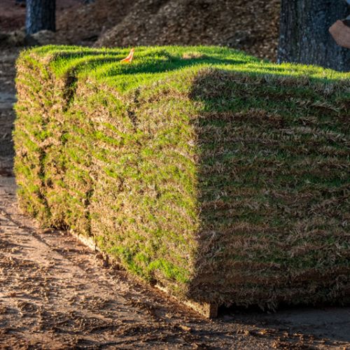 Sod | Turf Land Grass Sales & Installation | Honey Grove, TX