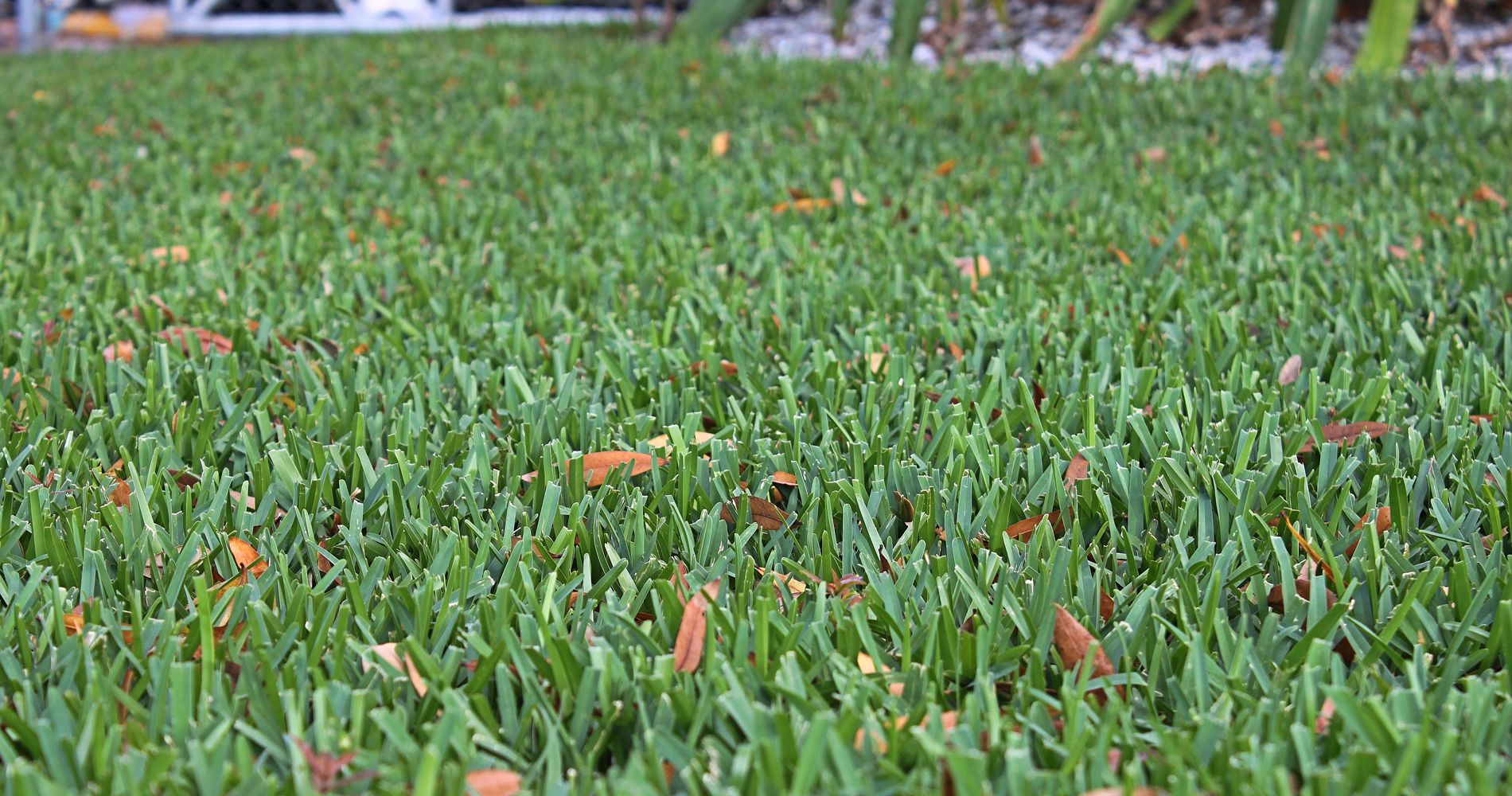 Sod | Turf Land Grass Sales & Installation | Honey Grove, TX