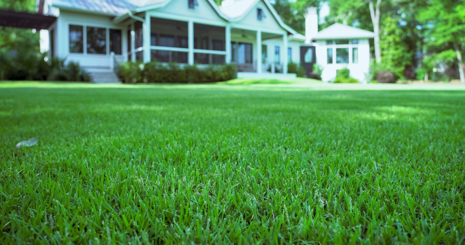 Sod | Turf Land Grass Sales & Installation | Honey Grove, TX