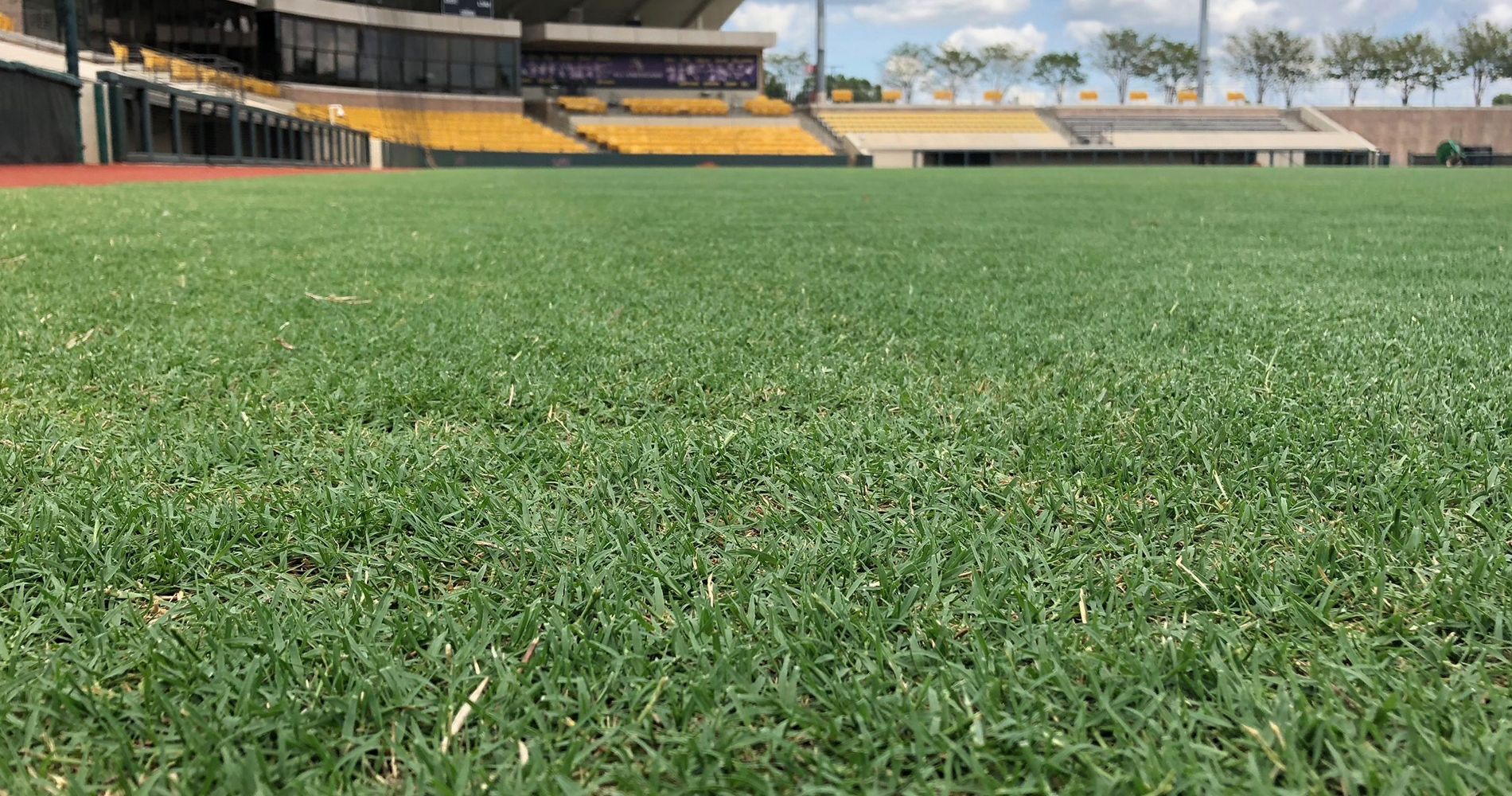 Sod | Turf Land Grass Sales & Installation | Honey Grove, TX