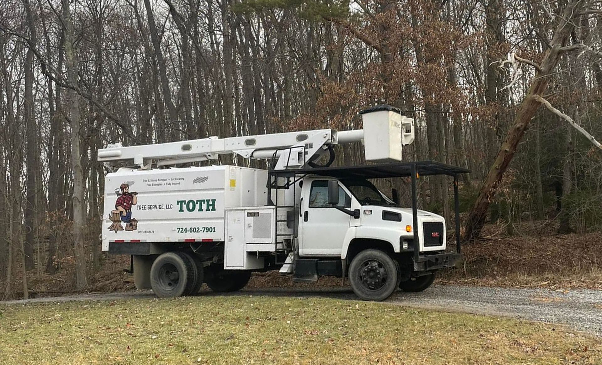 Tree Services | Toth Tree Services LLC | Cabot, PA