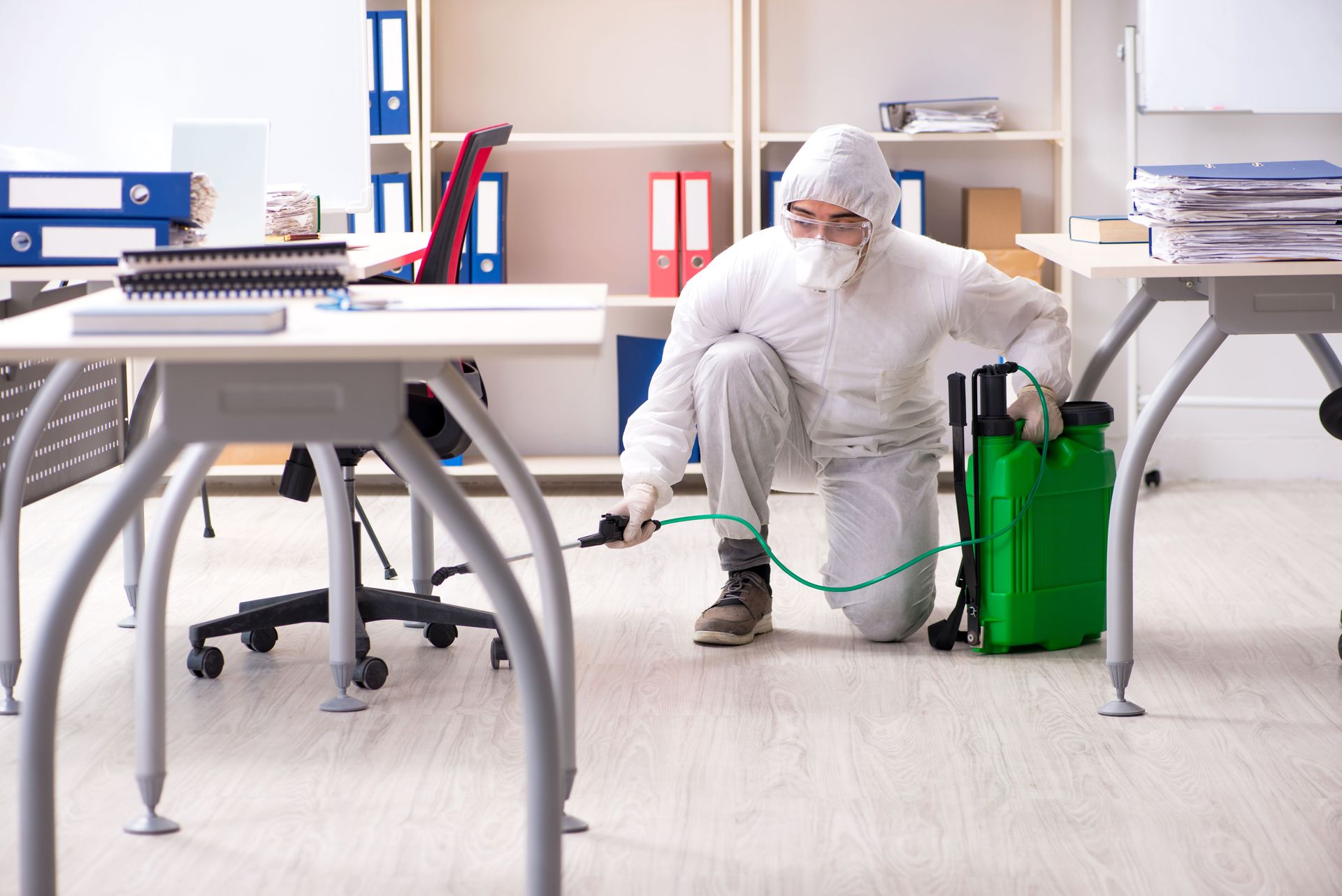 Pest Management | Dayton OH Excalibur Termite & Pest Control