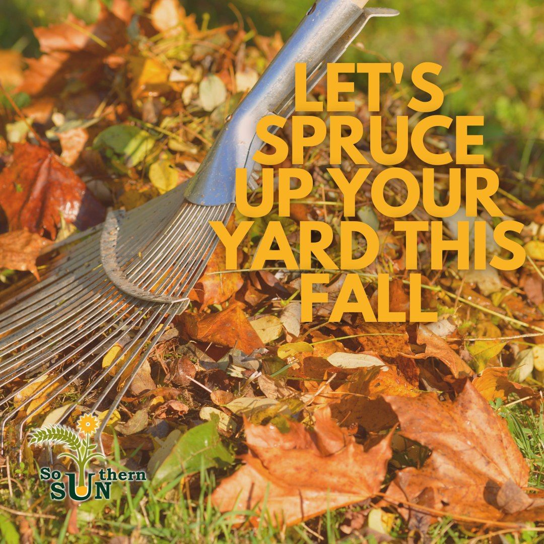 Leaf Removal Services | Roanoke, VA