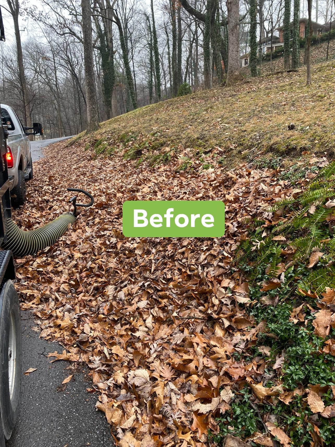 Leaf Removal Services | Roanoke, VA