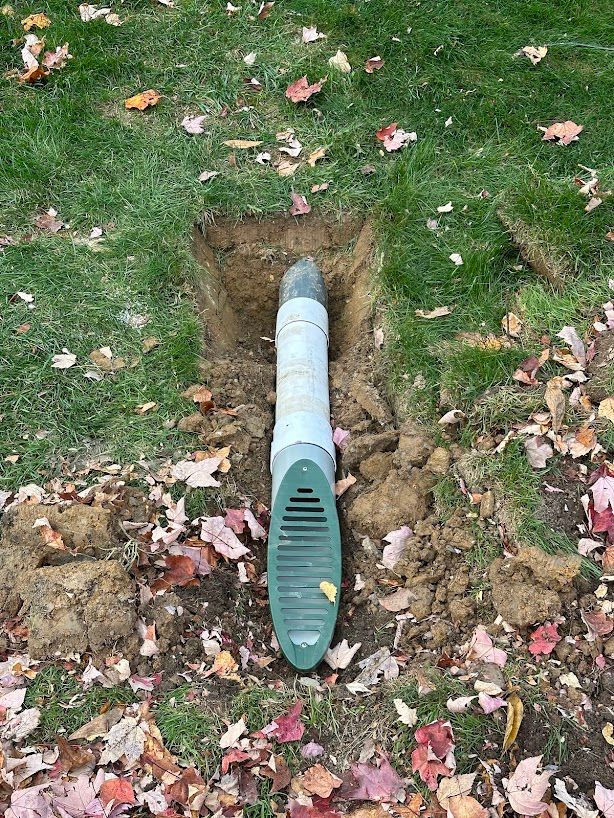 Past Work | Drain My Yard