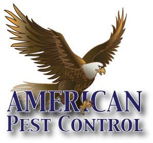 American Pest Control | San Diego County, CA