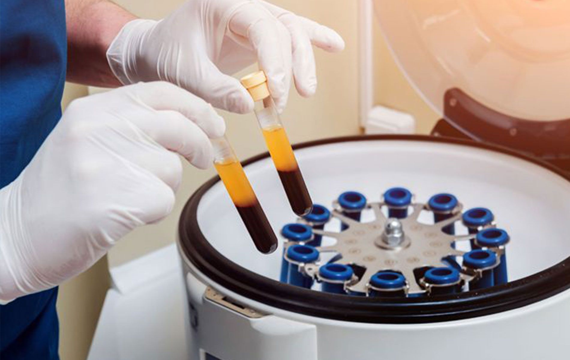 Thyroid Health Services | Frederick, MD