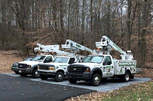 Roger's Wildlife Control LLC | Pest Control | Bristol, TN