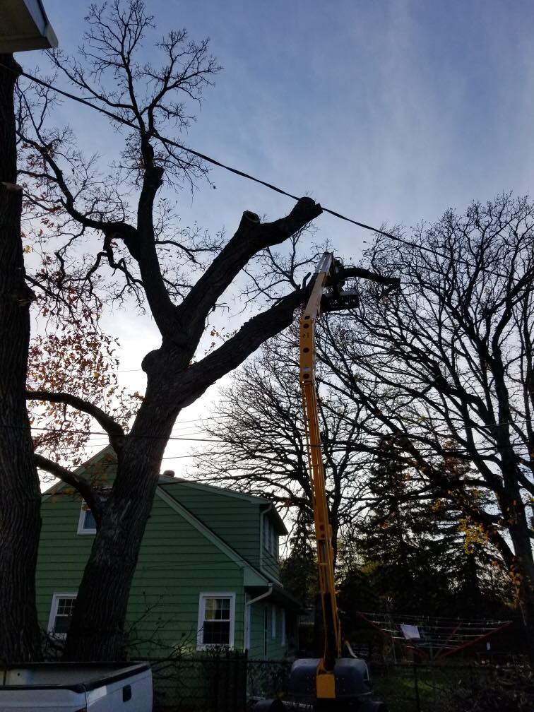Jake's Tree Service | Tree Care and Removal | Hawley, MN