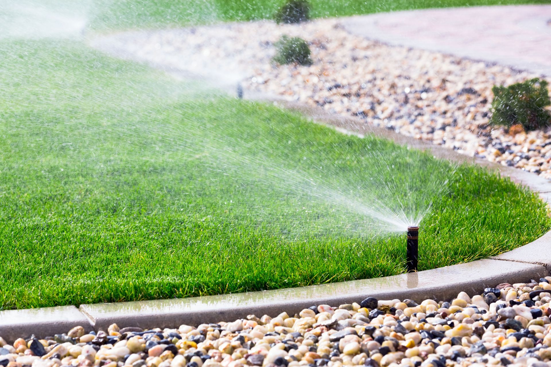 Landscaper | San Diego County, CA | Grass Doctor Landscape