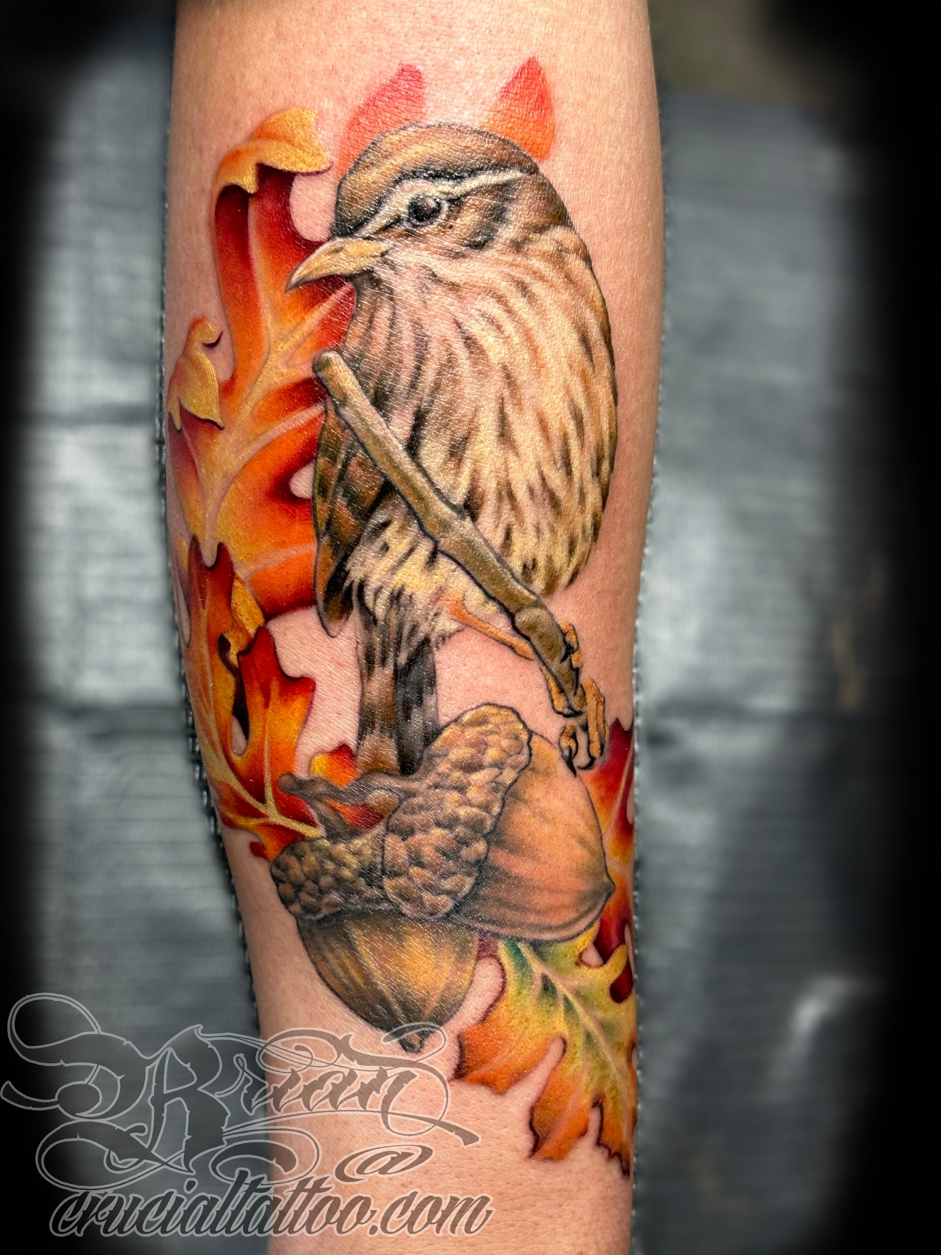 Brian Klingensmith | Crucial Tattoo Studio