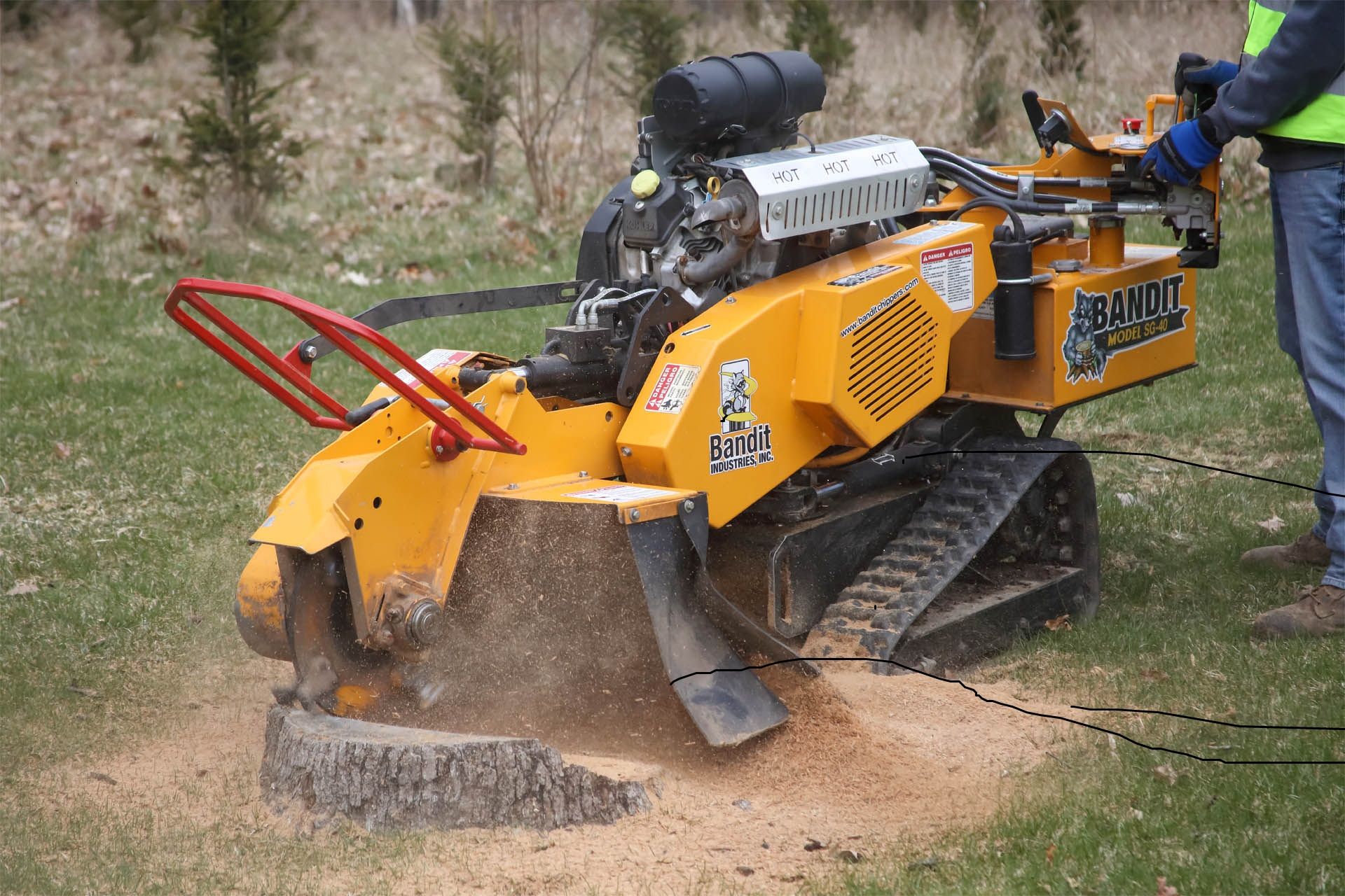 Stump Grinding | Stump Removal | Grand Forks, ND