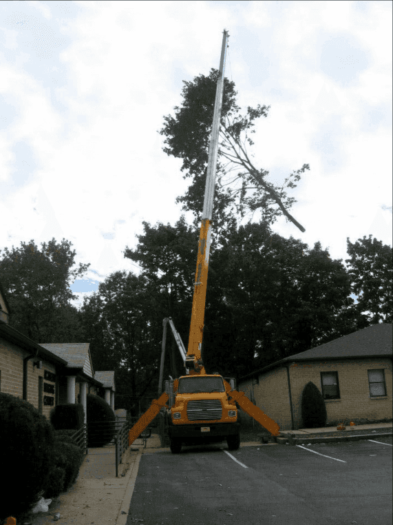 Commercial Tree Service | Philadelphia, PA