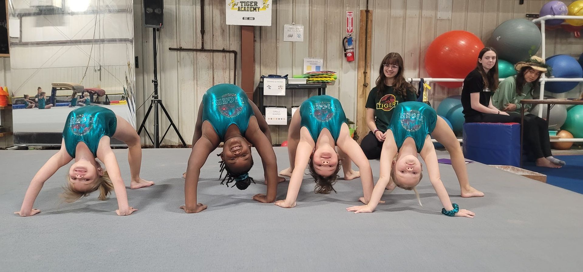 Classes | Tiger Academy of Gymnastics | Columbia, MO