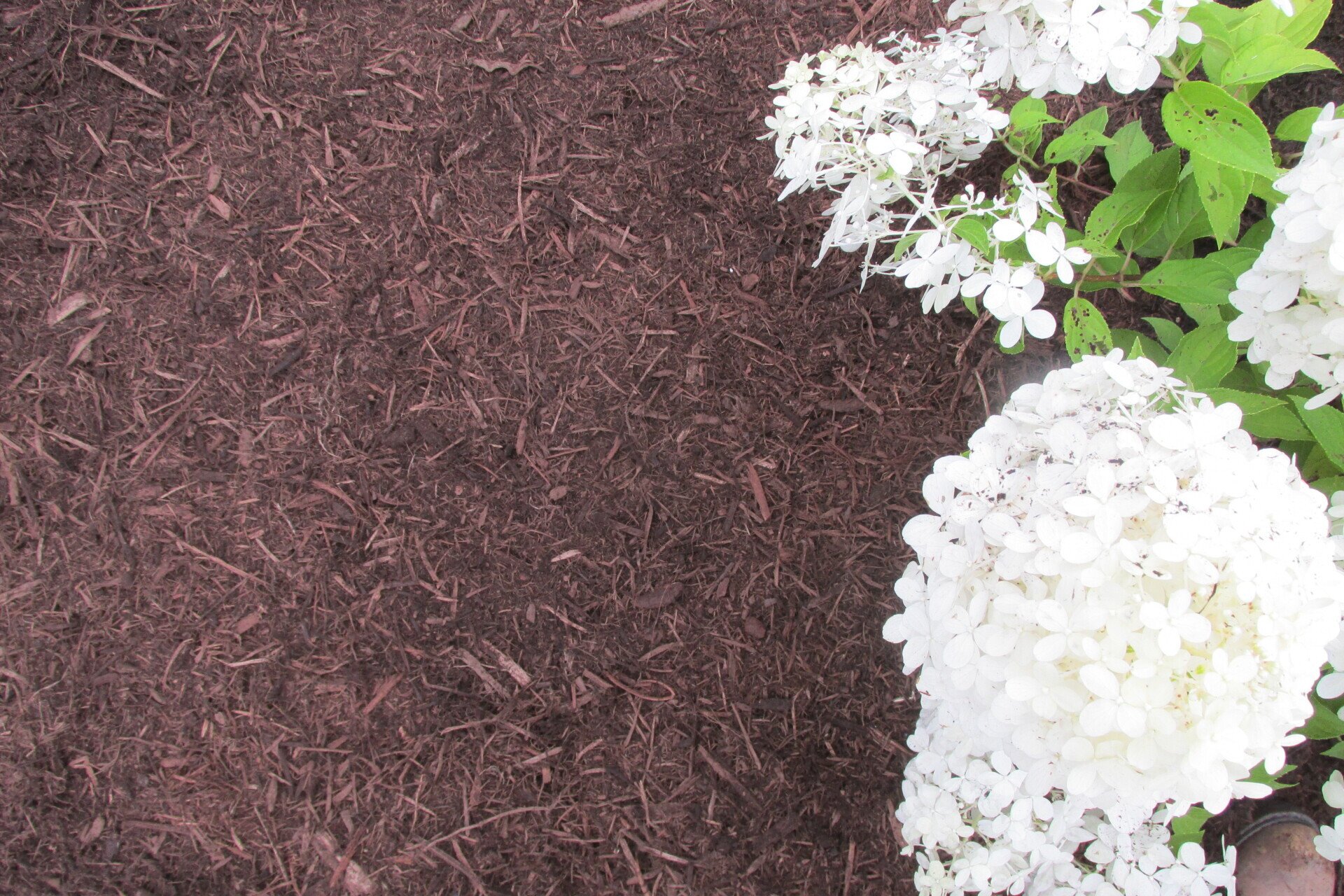 Nolt's Garden Center - Bulk Mulch & Topsoil Delivery - Lebanon PA