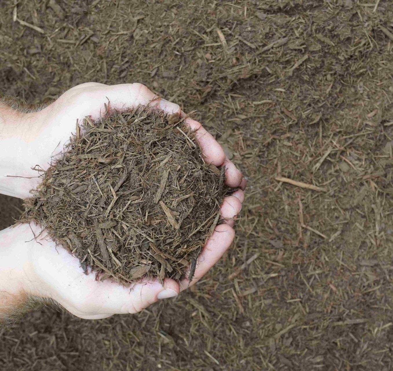 Screened Topsoil - Nolt’s Garden Center