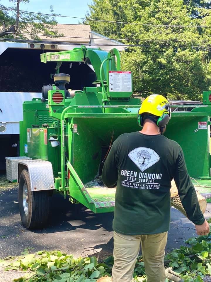 Gallery | Green Diamond Tree Service & Landscaping | Horsham, PA