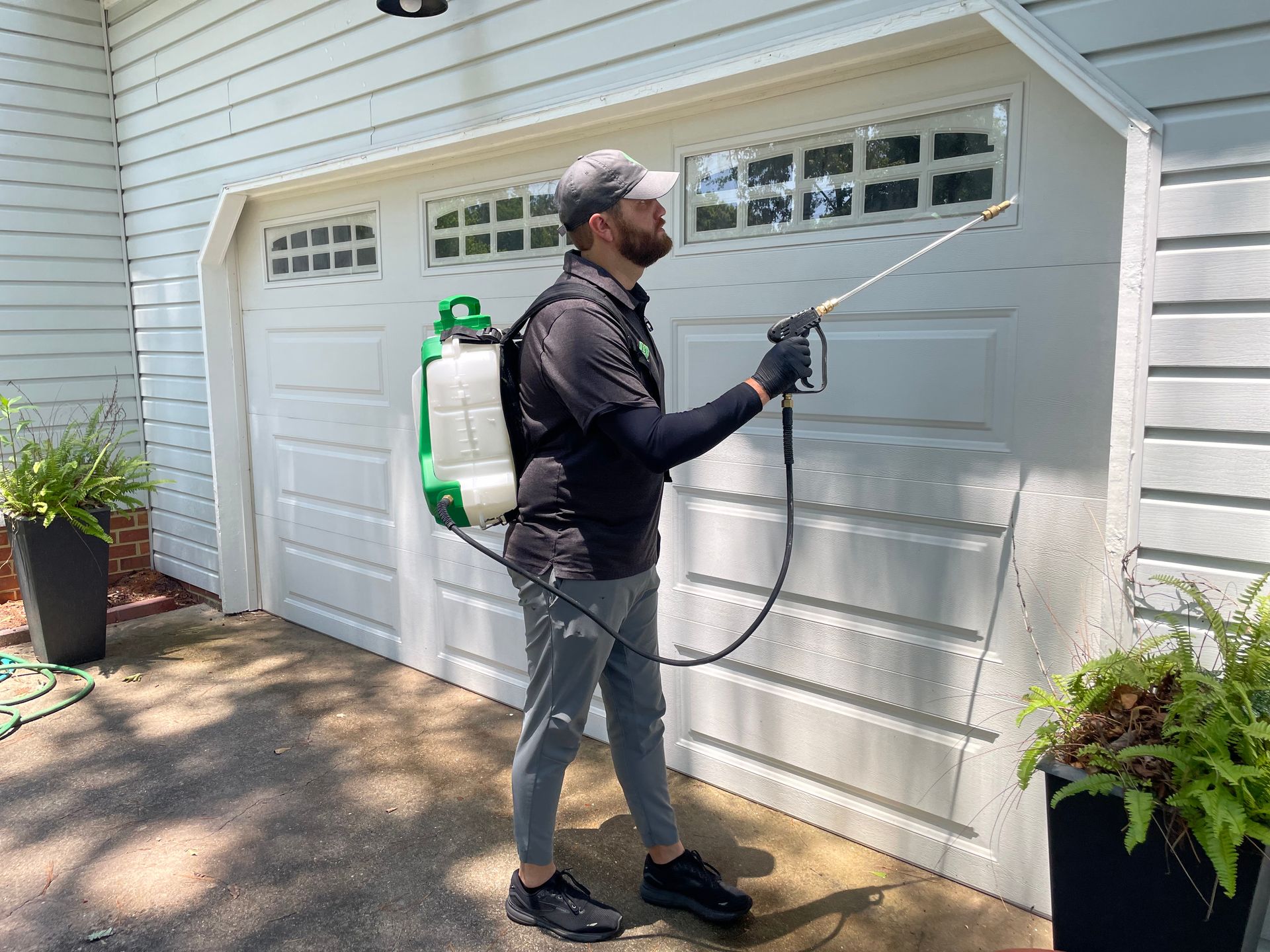 Pest Control | Green Leaf Pest Solutions | Chesapeake, VA