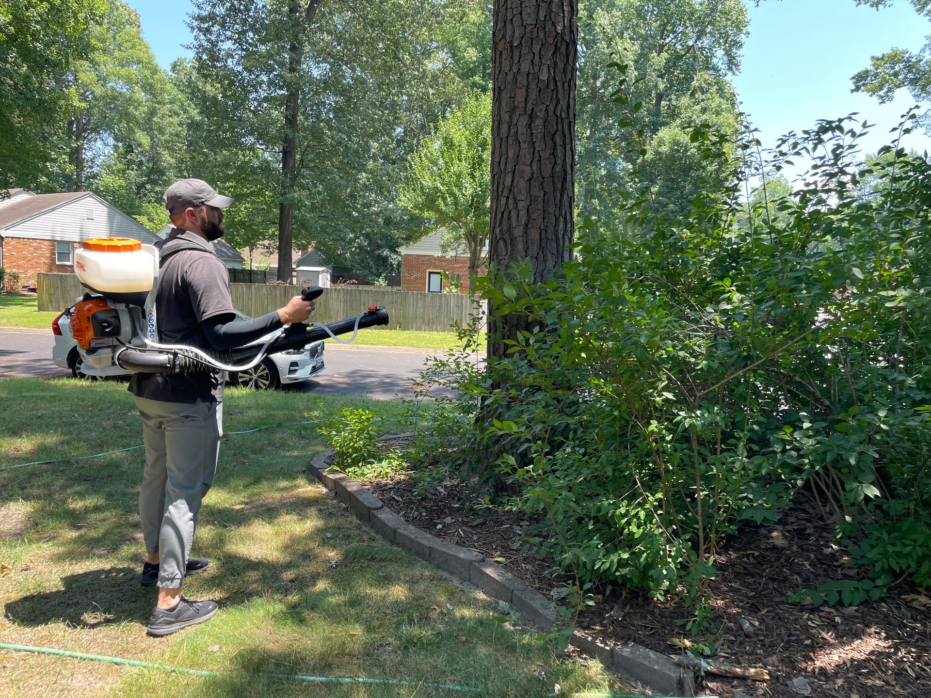Pest Control | Green Leaf Pest Solutions | Chesapeake, VA