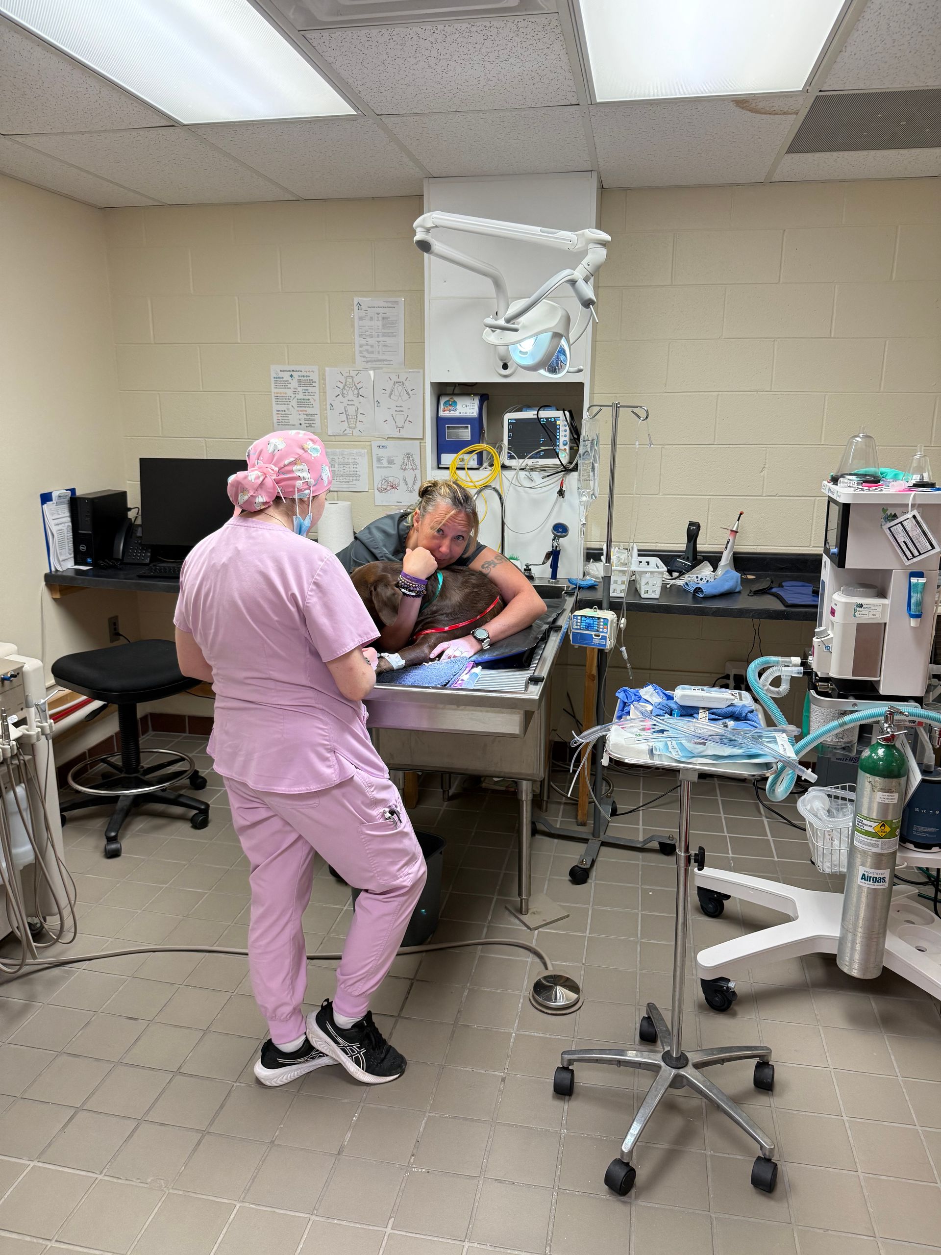 Pleasant Prairie Animal Hospital | Veterinarian | Kenosha, WI | Pet Surgery