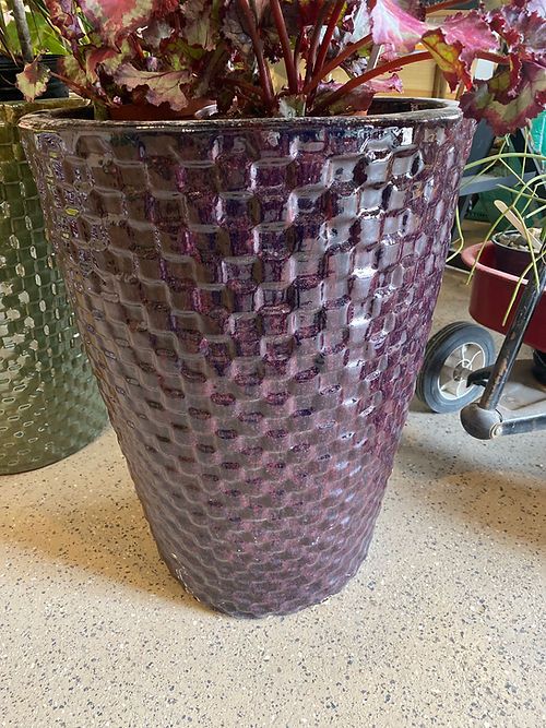 Containers and Planters For Sale | Iowa City, IA