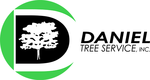 Tree Care | Daniel Tree Service Inc | Columbus, OH