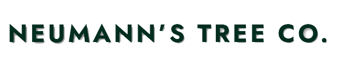 Tree Services | Neumann's Tree Co | Staten Island, NY